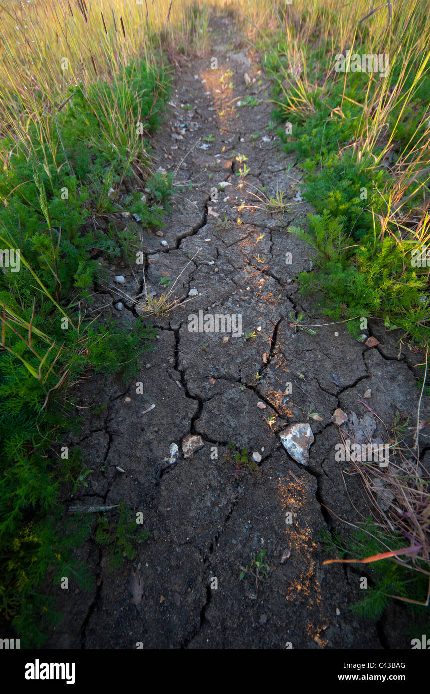 Dry cracked soil Stock Photo - Alamy
