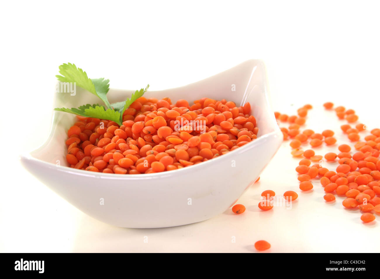 dried red lentils with coriander on a white background Stock Photo - Alamy