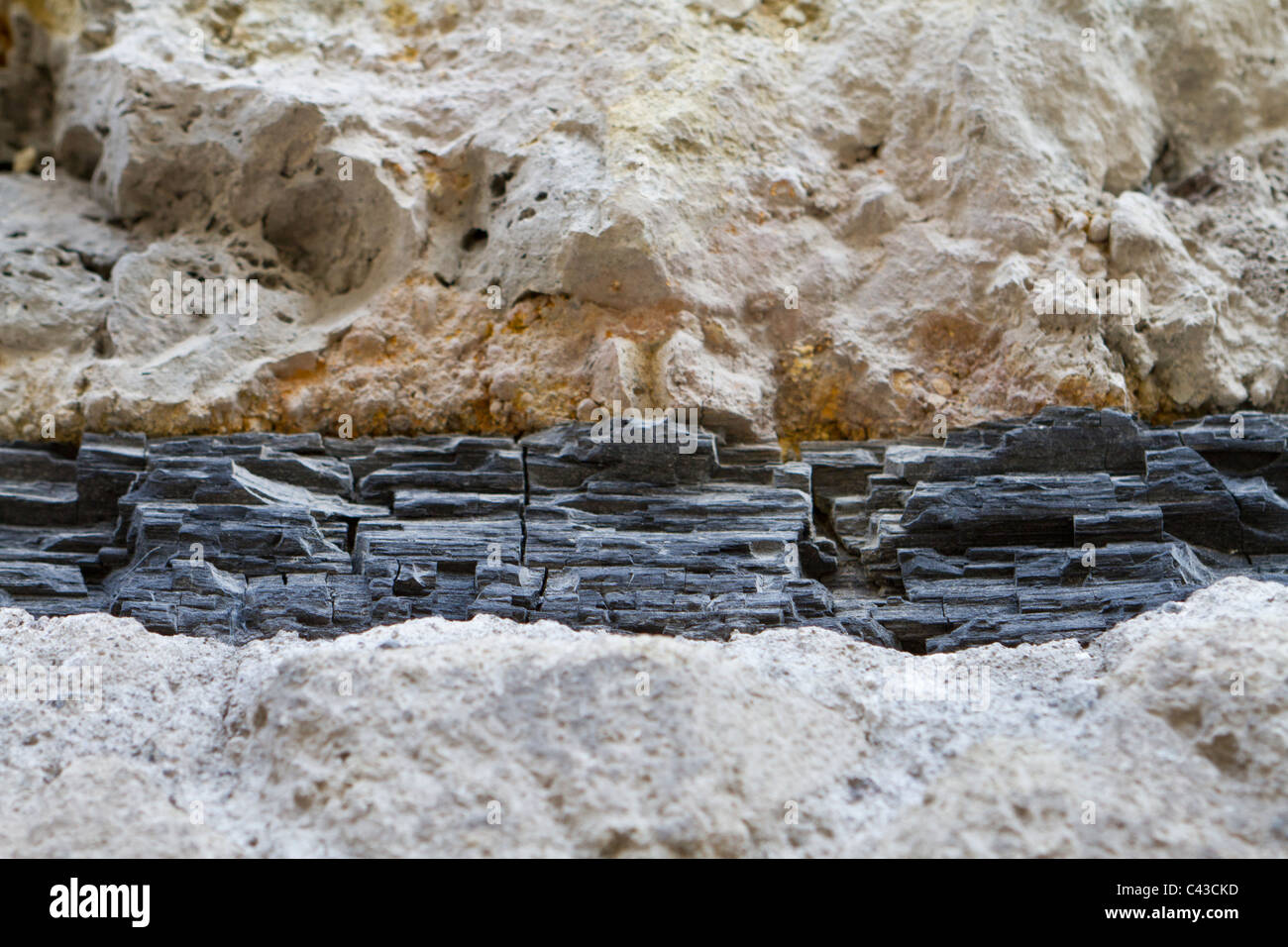 Charred remains of a wooden beam in the ancient Roman town of ...