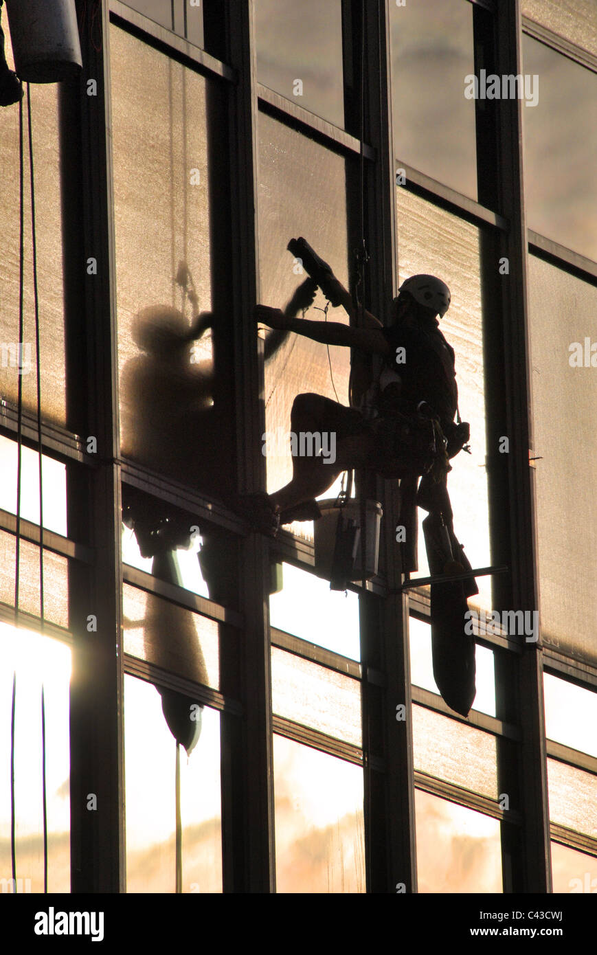 Window cleaners abseiling on downtown office tower, Sydney Australia ...