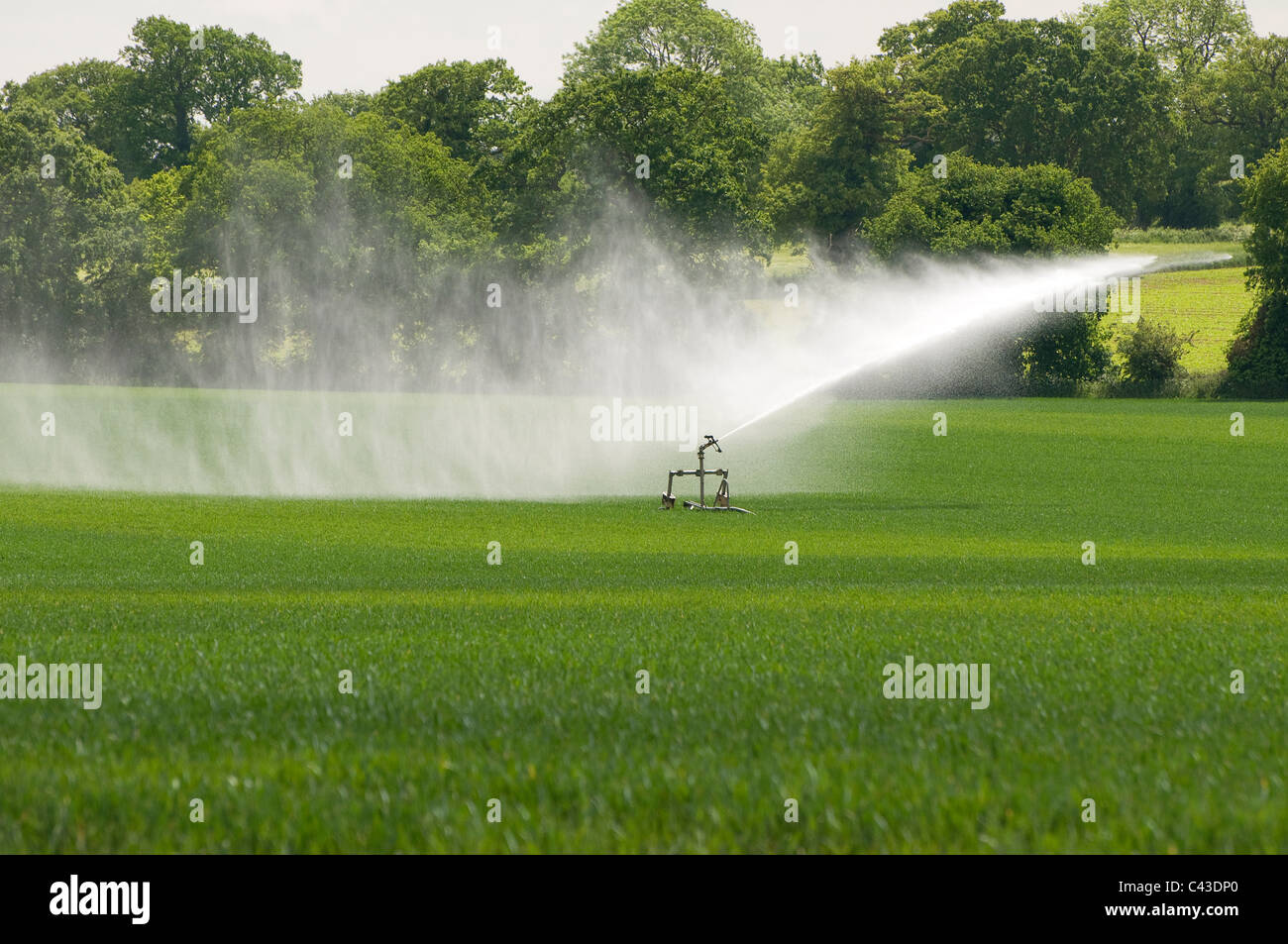 Watering crops hi-res stock photography and images - Alamy
