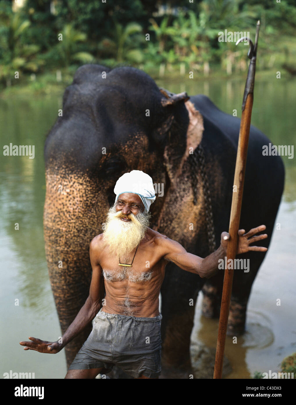 Elephant, Holiday, Kandy, Landmark, Orphanage, Pinnawala, Sri lanka ...