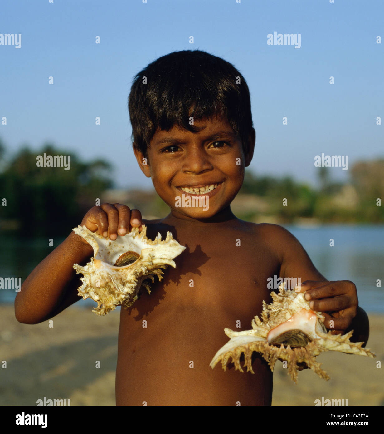 Beach, Boy, Holiday, Landmark, Negombo, Seashells, Sri lanka, Asia ...