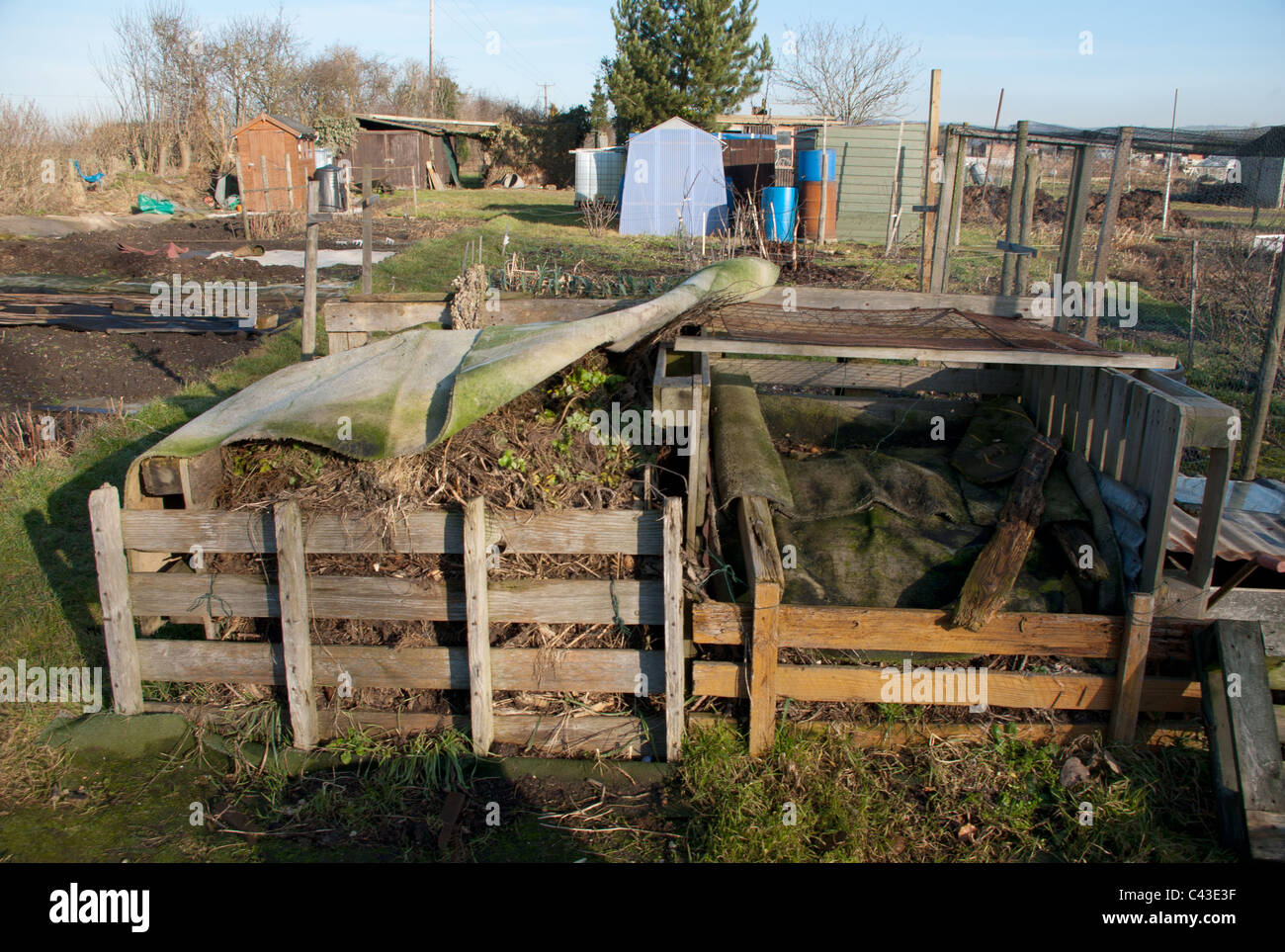 Pallet garden hi-res stock photography and images - Alamy