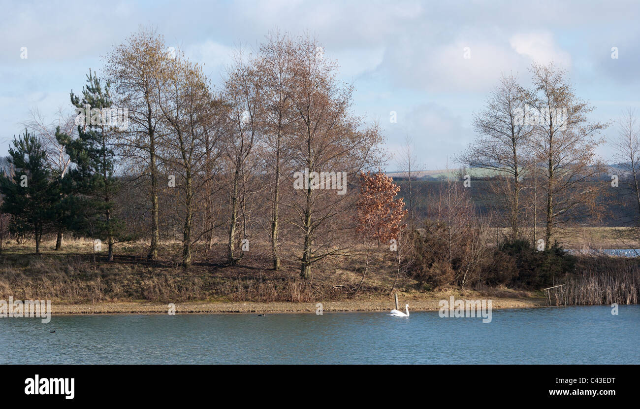 Winter at North Cave Wetlands Yorkshire Wildlife Trust reserve Stock ...
