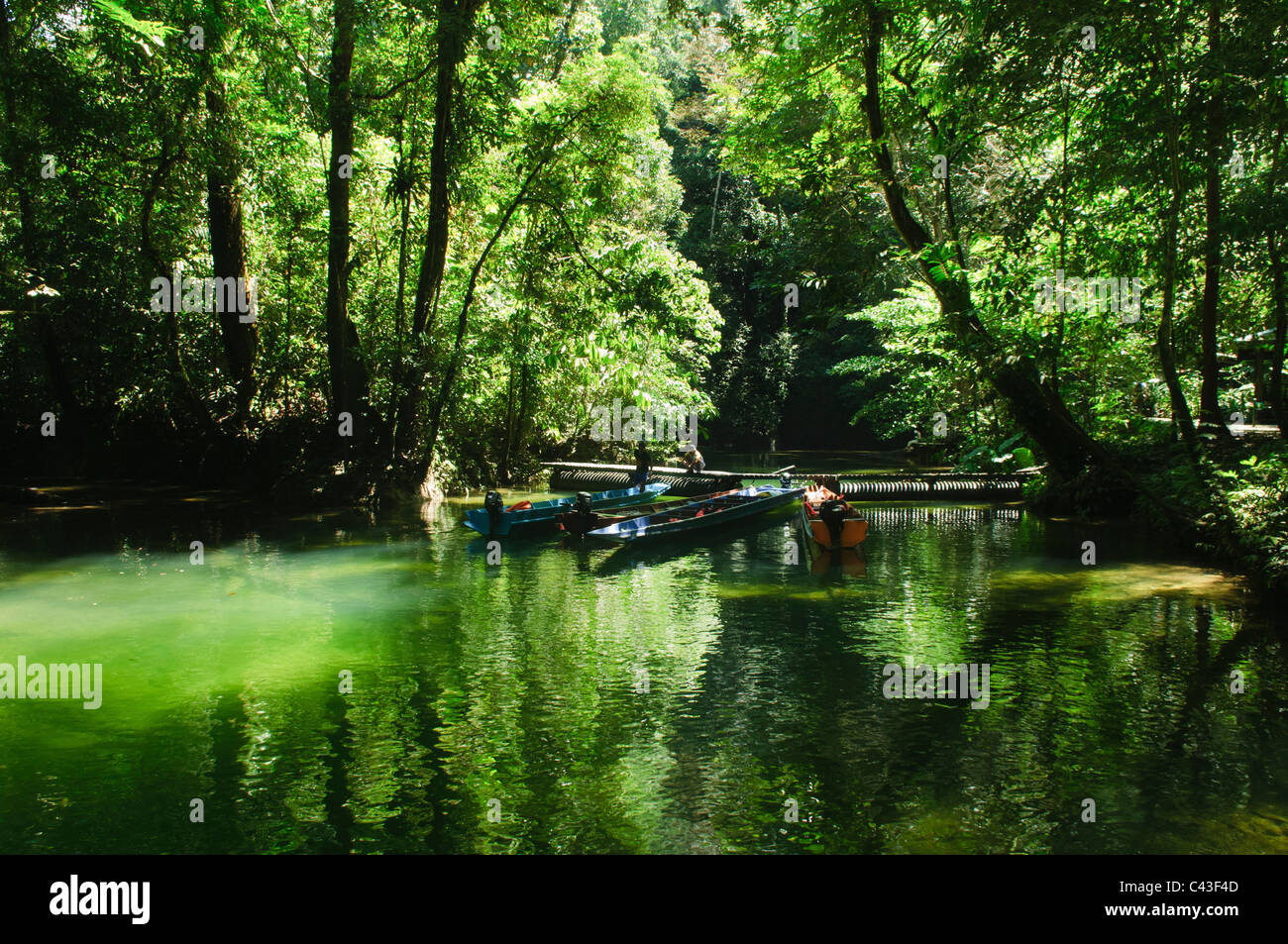 boats and beautiful jungle pool in Mulu National Park in Sarawak ...