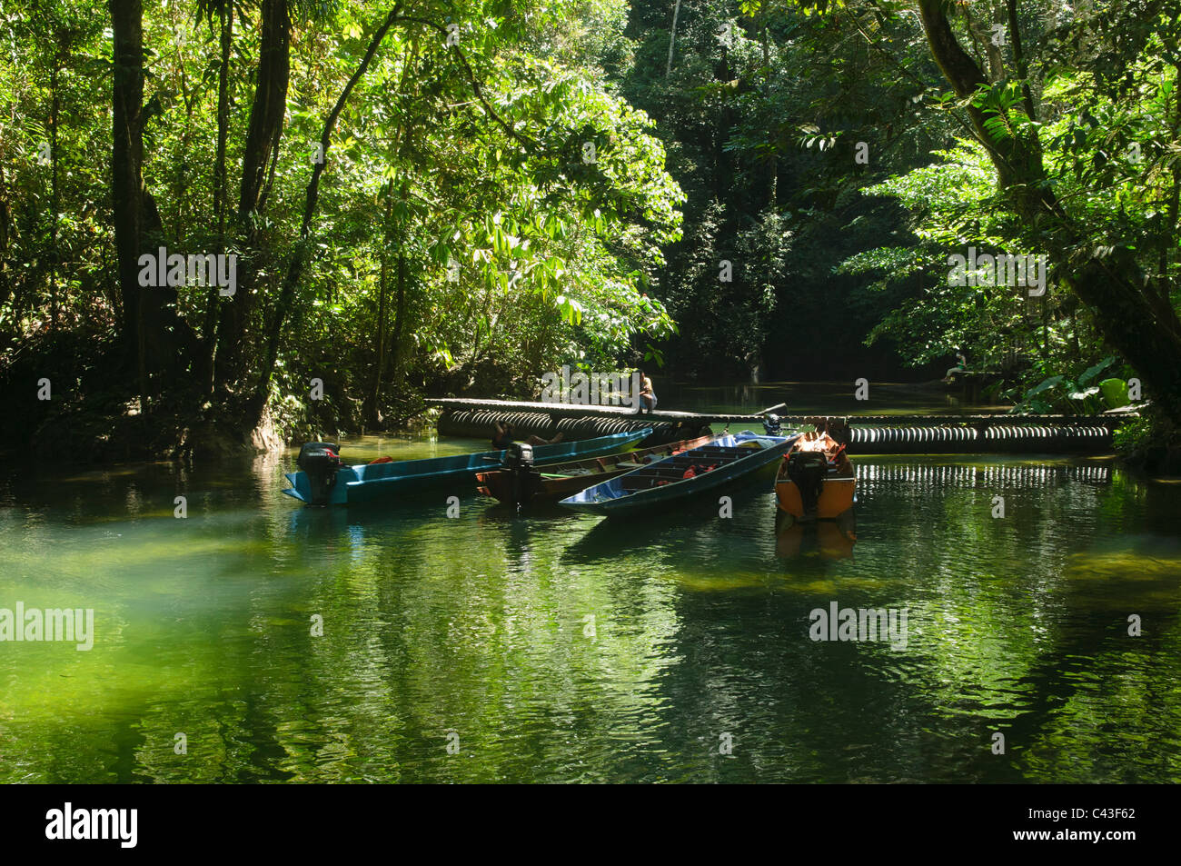 boats and beautiful jungle pool in Mulu National Park in Sarawak ...