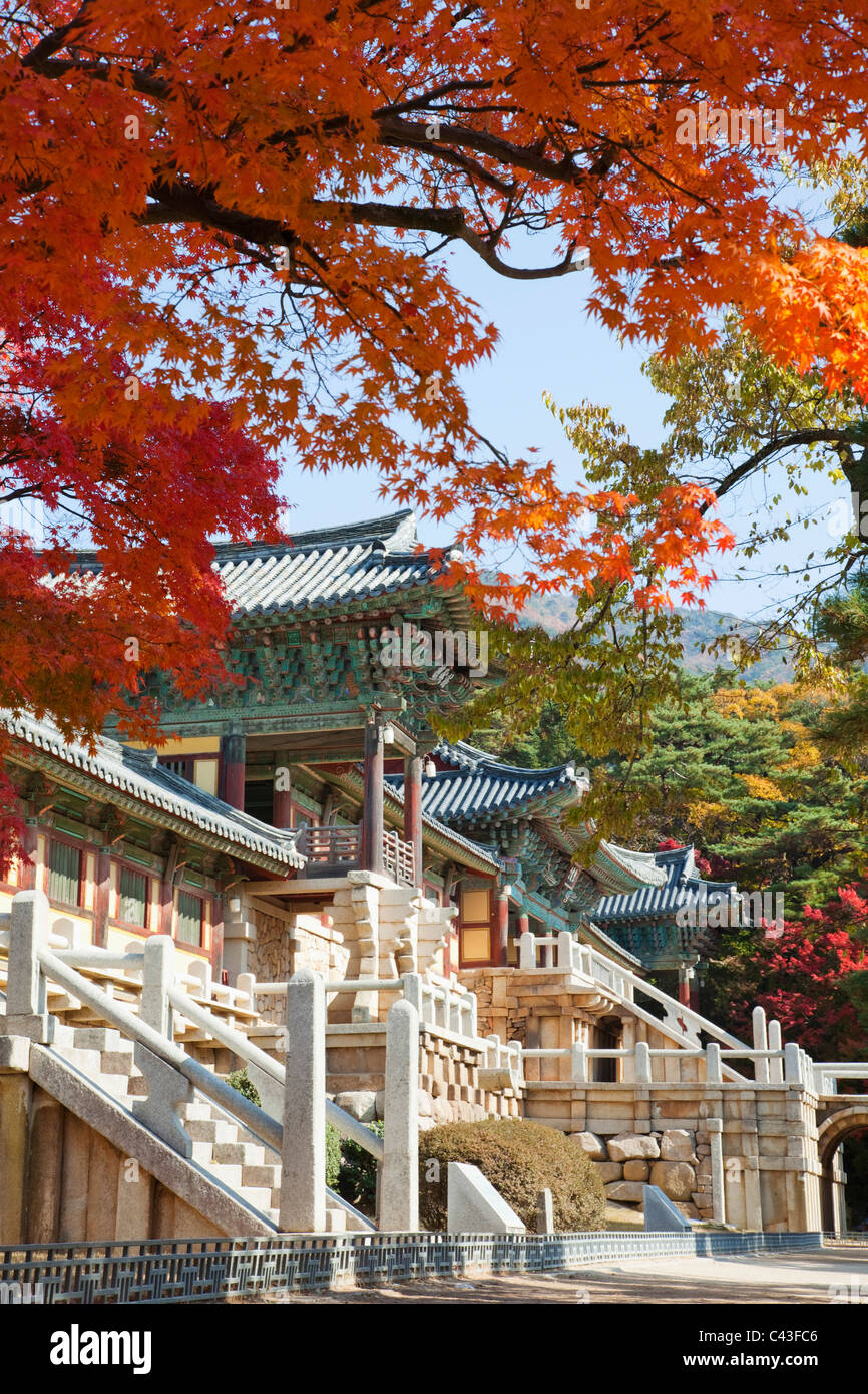 Asia, Korea, Gyeongju, Kyongju, Bulguksa Temple, Autumn, Fall, Autumn ...
