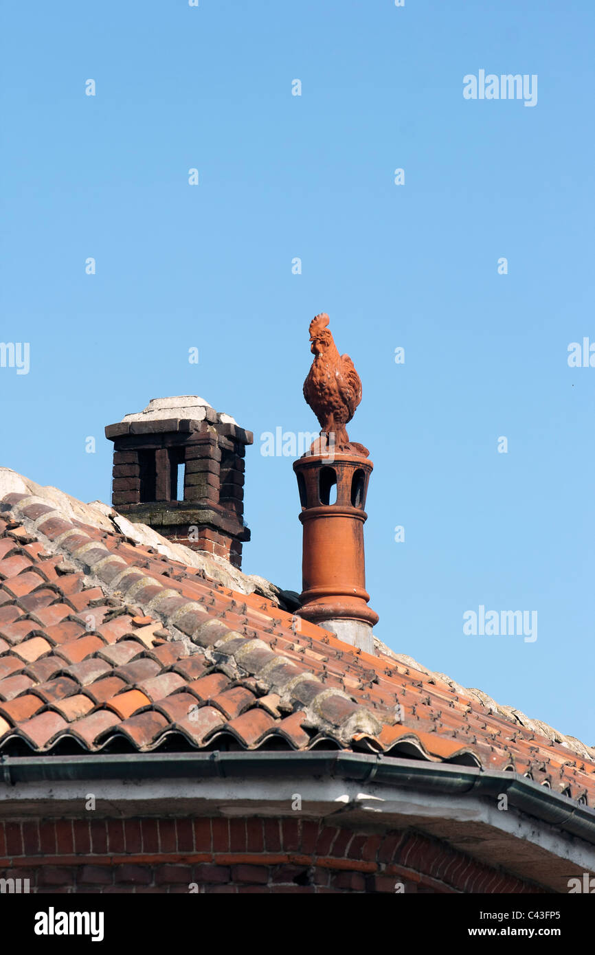 bizarre artistic chimney chicken shape in Pavia , Italy Stock Photo - Alamy
