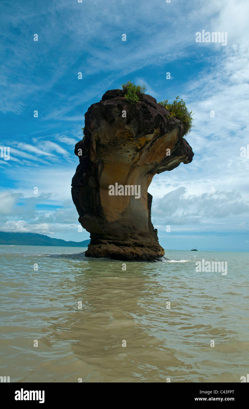 beautiful coastal scenery in Bako National Park in Sarawak, Borneo ...