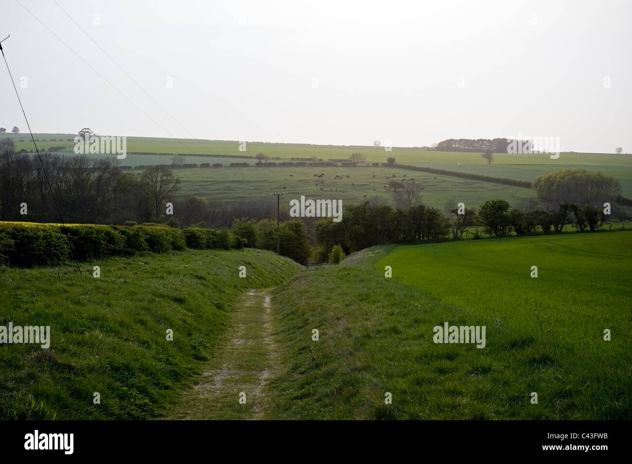 Field systems at Wharram Percy Deserted Medieval Village, North ...