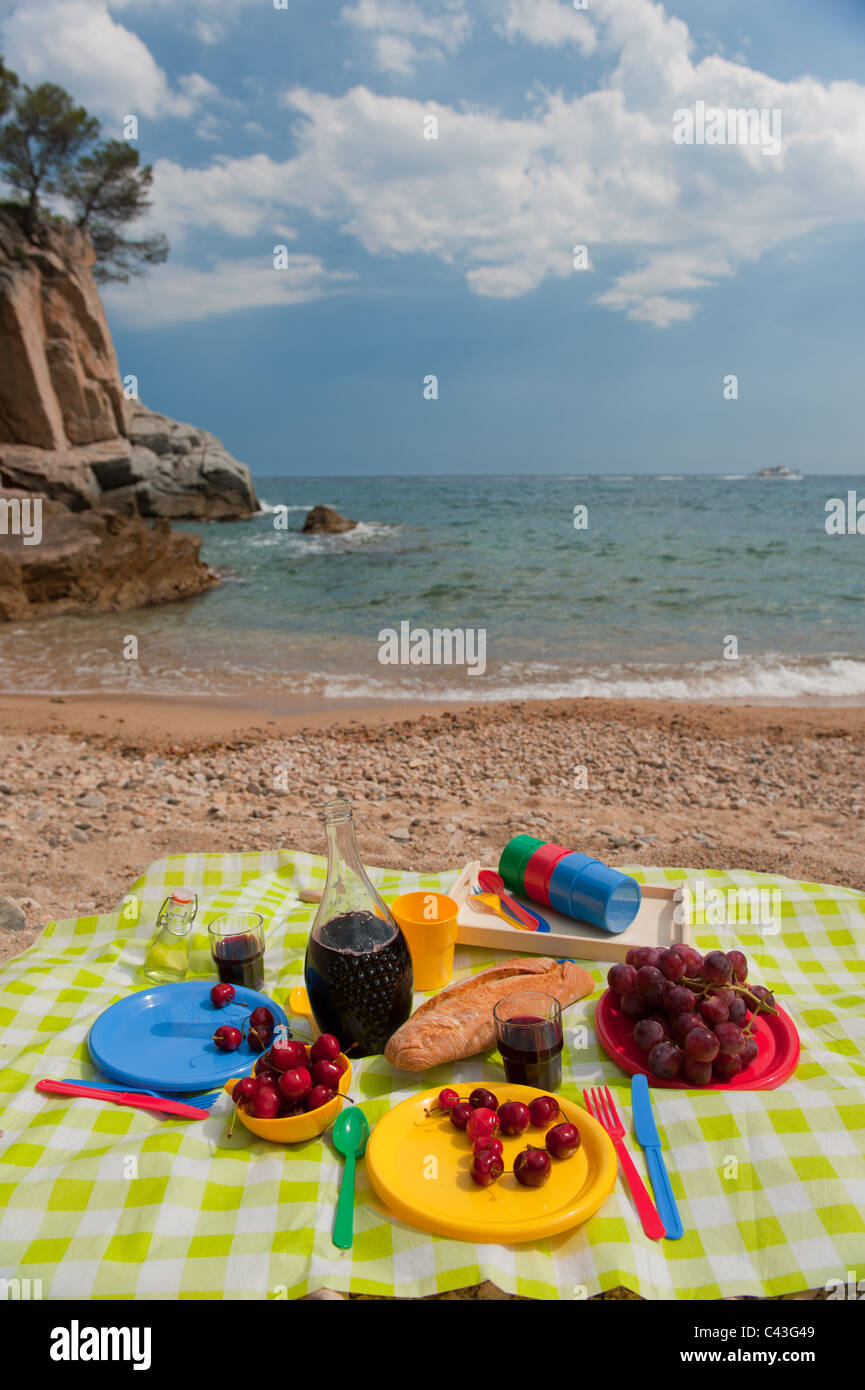 tasty food on colorful plastic crockery at the beach Stock Photo - Alamy