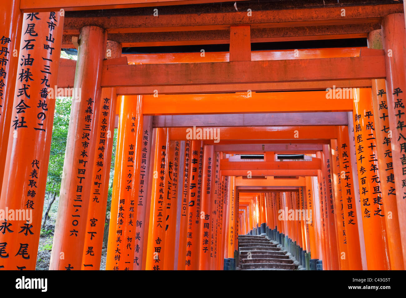 Asia, Japan, Honshu, Kyoto, Fushimi Inari, Fushimi Inari Shrine, Torii ...
