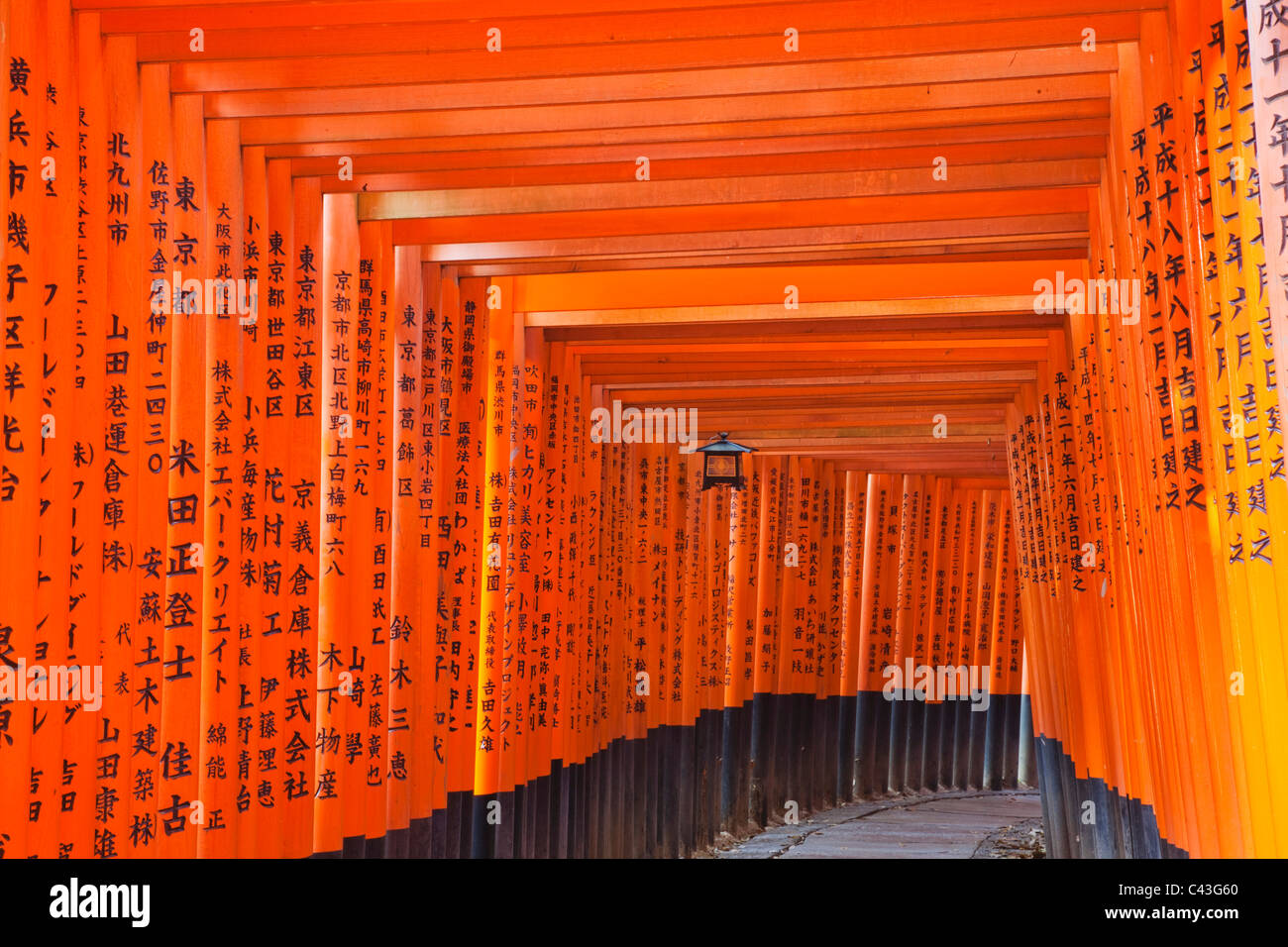 Asia, Japan, Honshu, Kyoto, Fushimi Inari, Fushimi Inari Shrine, Torii ...