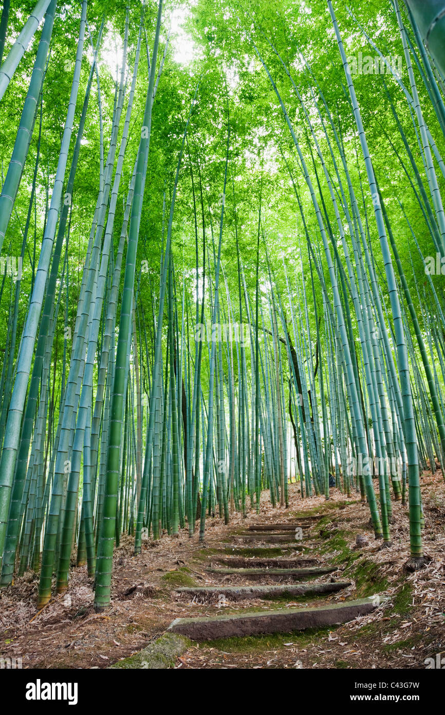 Asia, Japan, Honshu, Kyoto, Arashiyama, Adashino Nembutsu-ji Temple ...