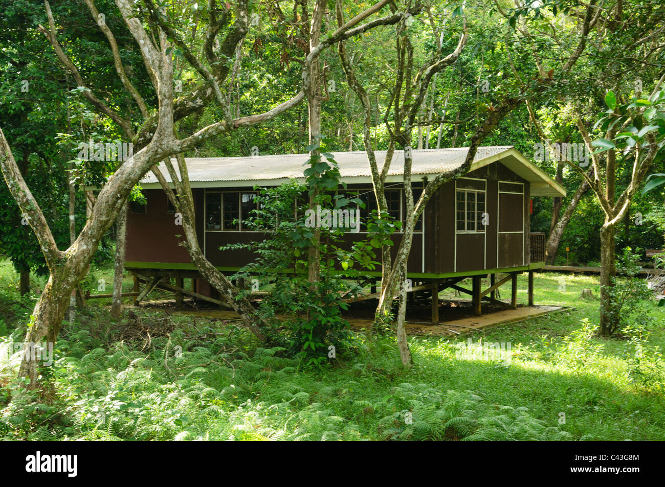 park chalet in the jungle in Bako National Park in Sarawak, Borneo ...