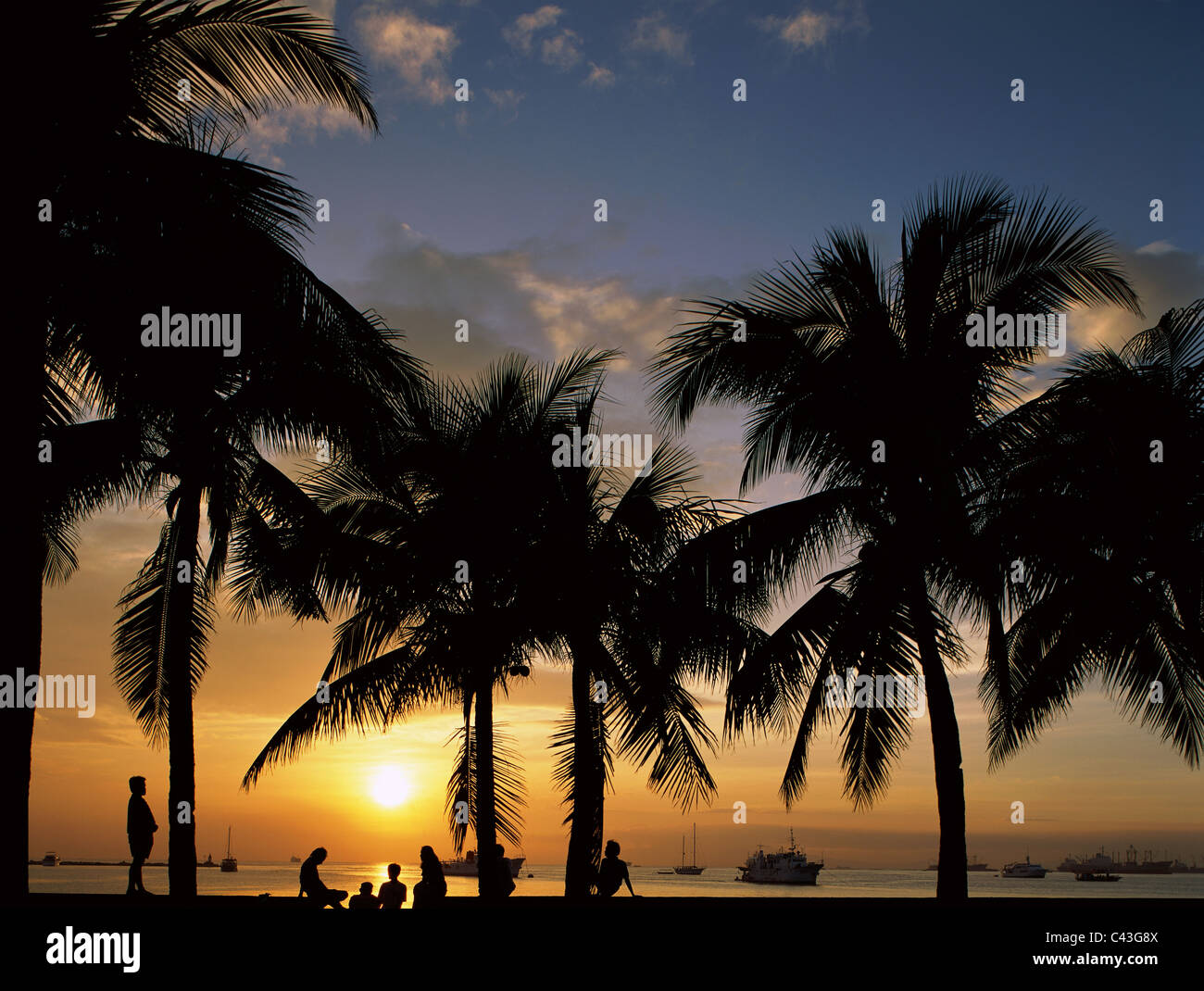 Bay, Holiday, Landmark, Manilla, Palm trees, Philippines, Asia, Sunset ...