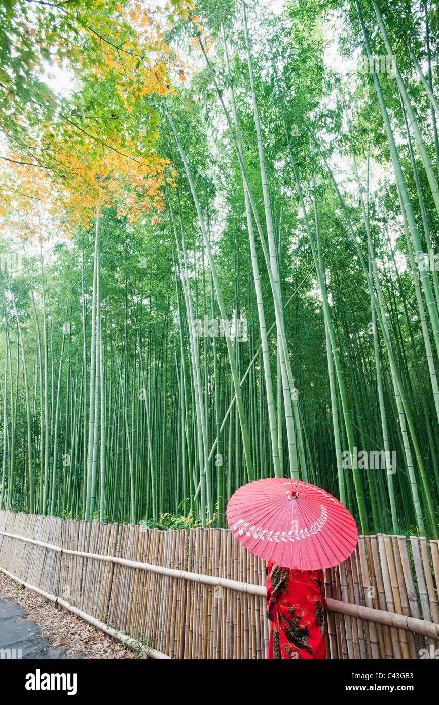 Asia, Japan, Honshu, Kyoto, Arashiyama, Bamboo, Forest, Forests ...