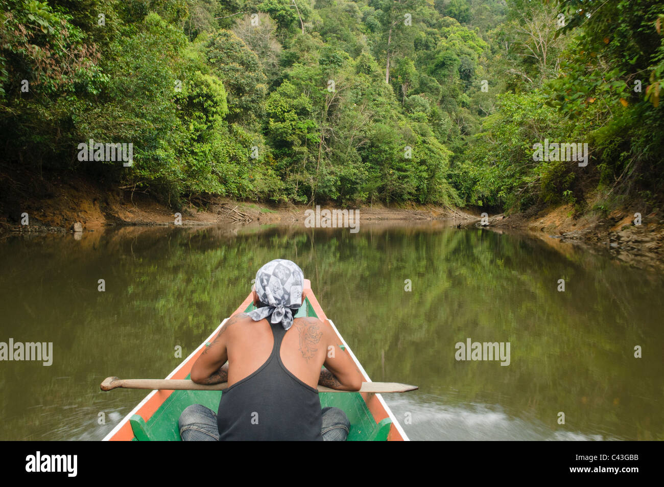 Iban man navigating the river in Batang Ai National Park in Sarawak ...