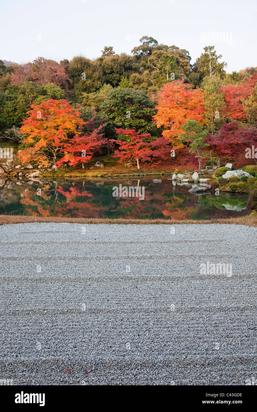 Tenryuji temple garden autumn leaves kyoto japan hi-res stock ...