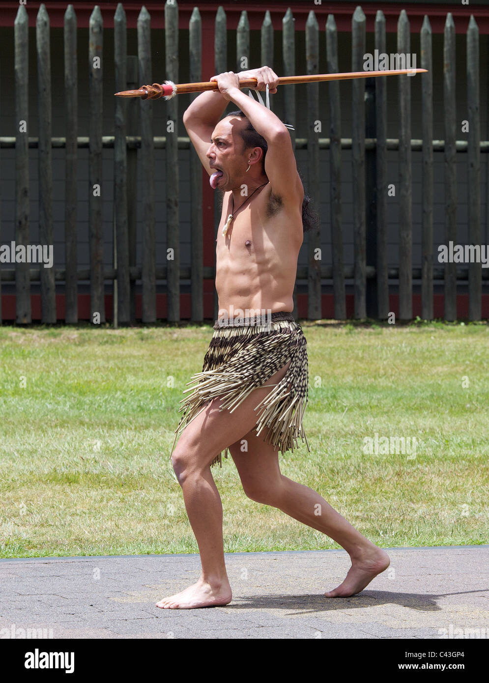 Maori cultural performances hi-res stock photography and images - Alamy