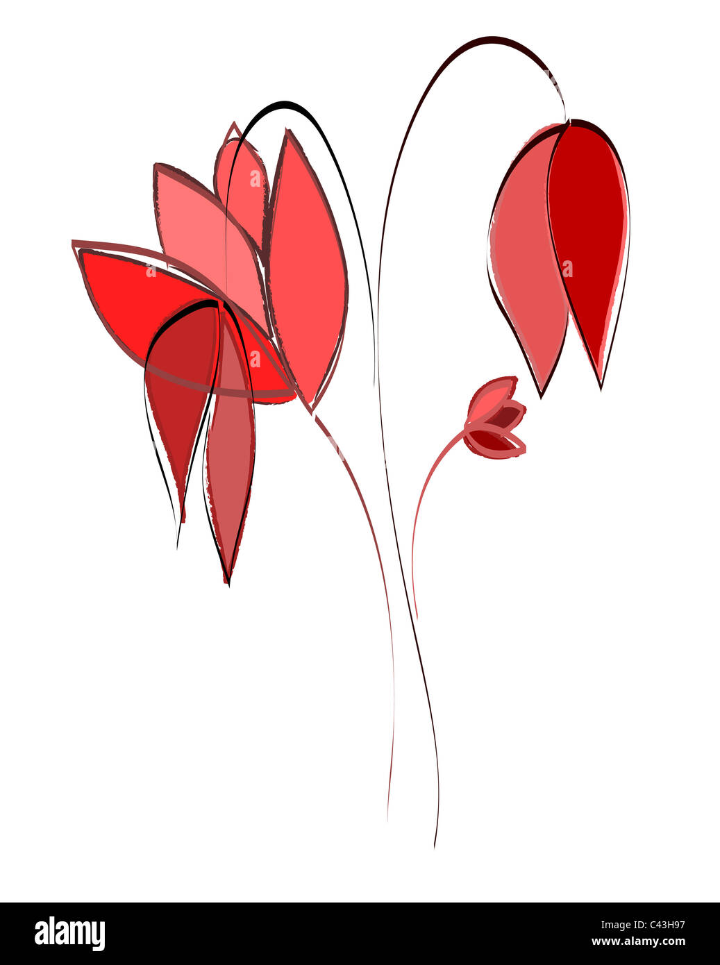 Beautiful hand draw flower with amazing blossoms on white background ...
