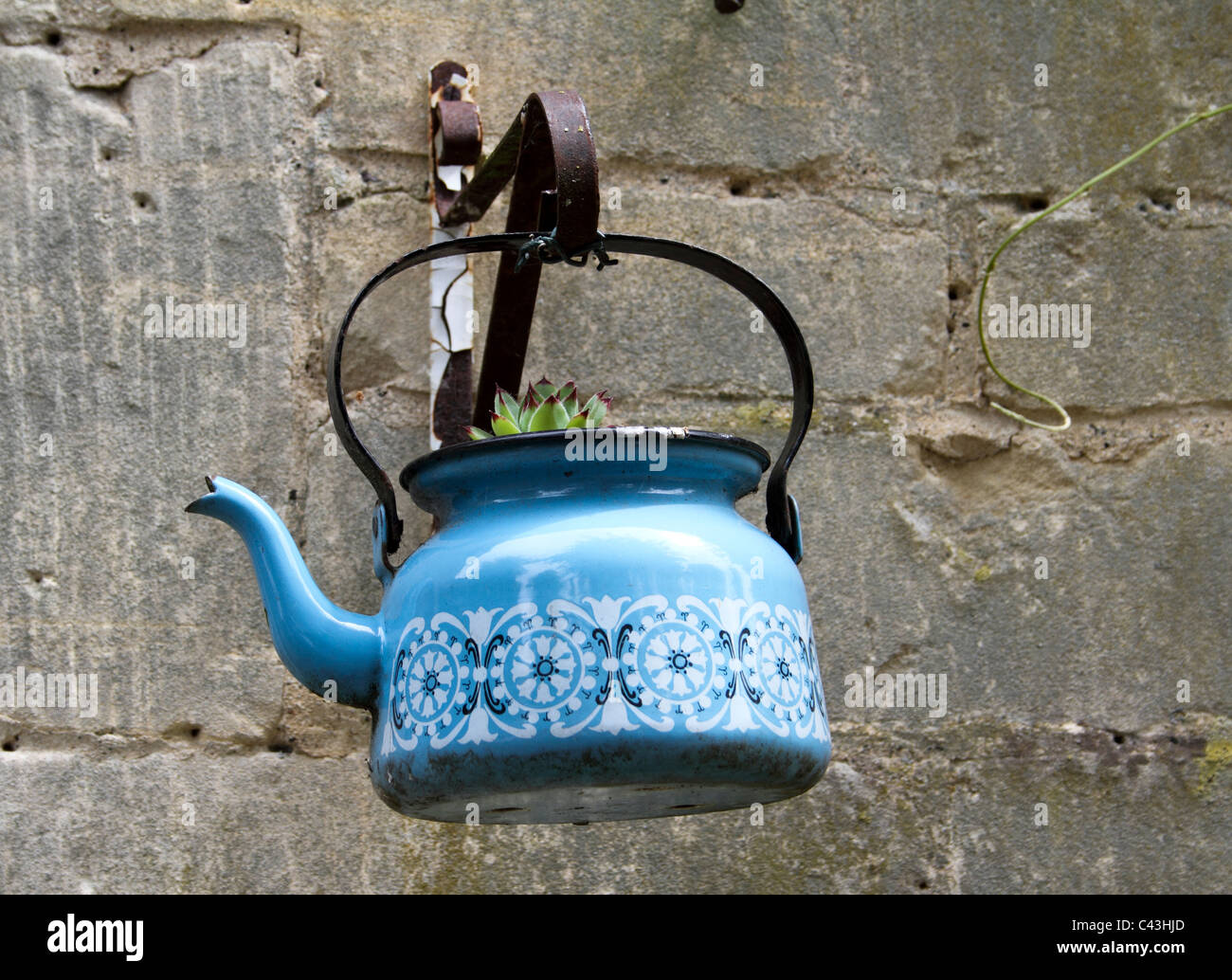 Blue decorative kettle used as a hanging plant pot Stock Photo - Alamy