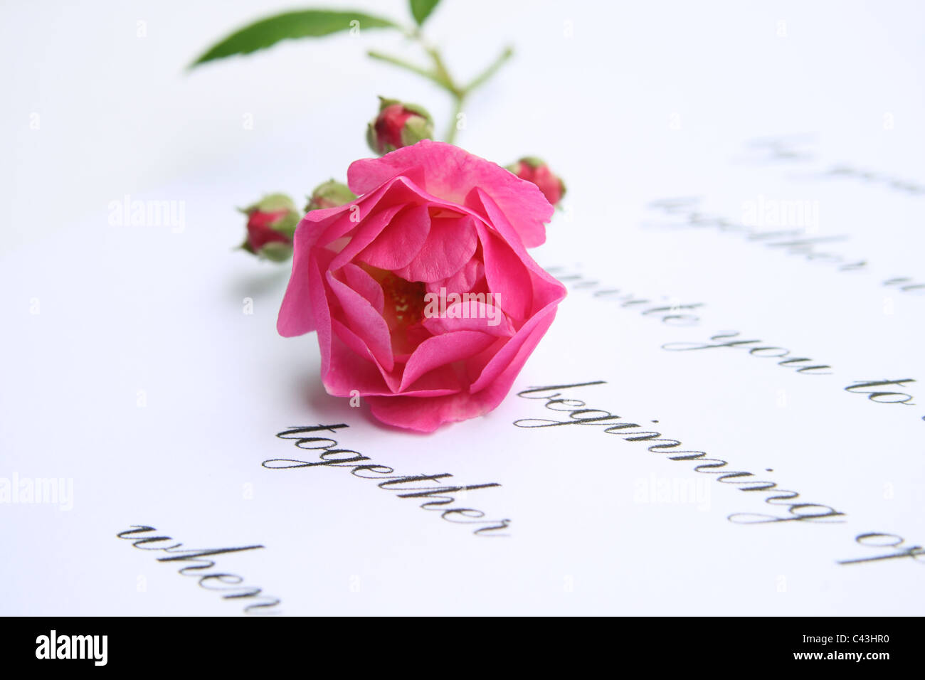 Red rose on love letter Stock Photo - Alamy