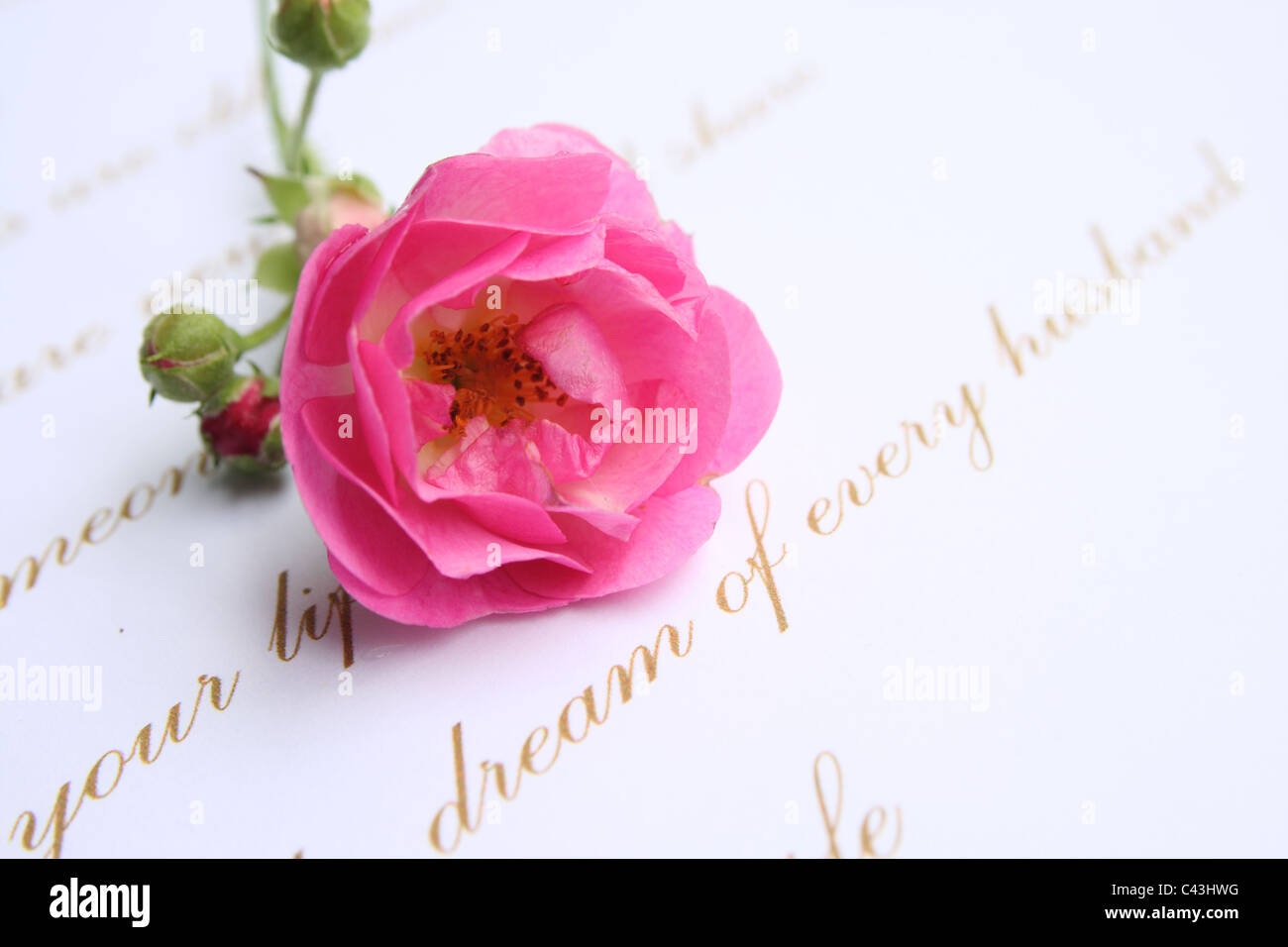 Red rose on love letter Stock Photo - Alamy