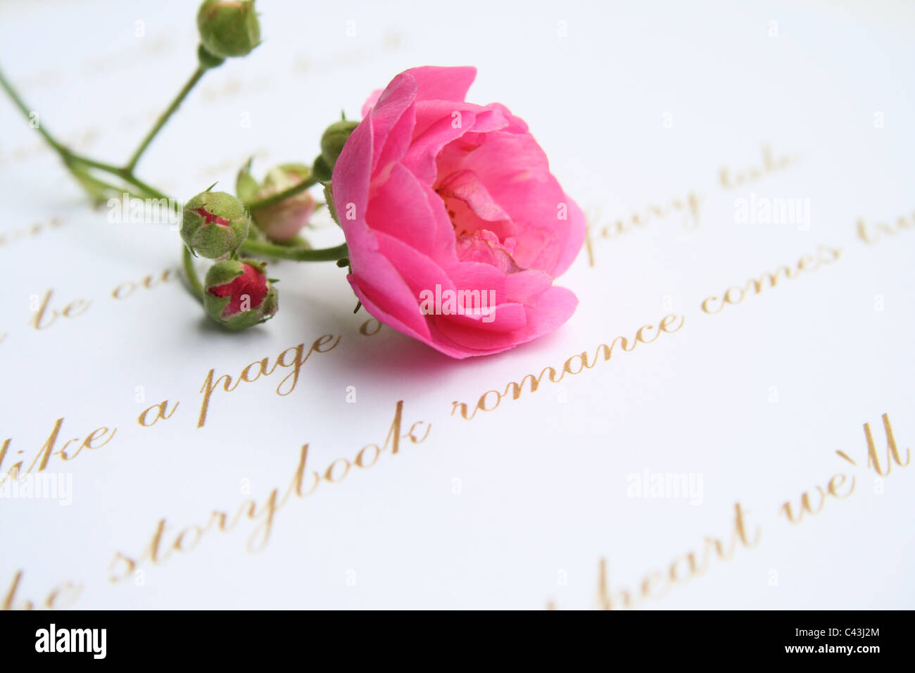 Red rose on love letter Stock Photo - Alamy