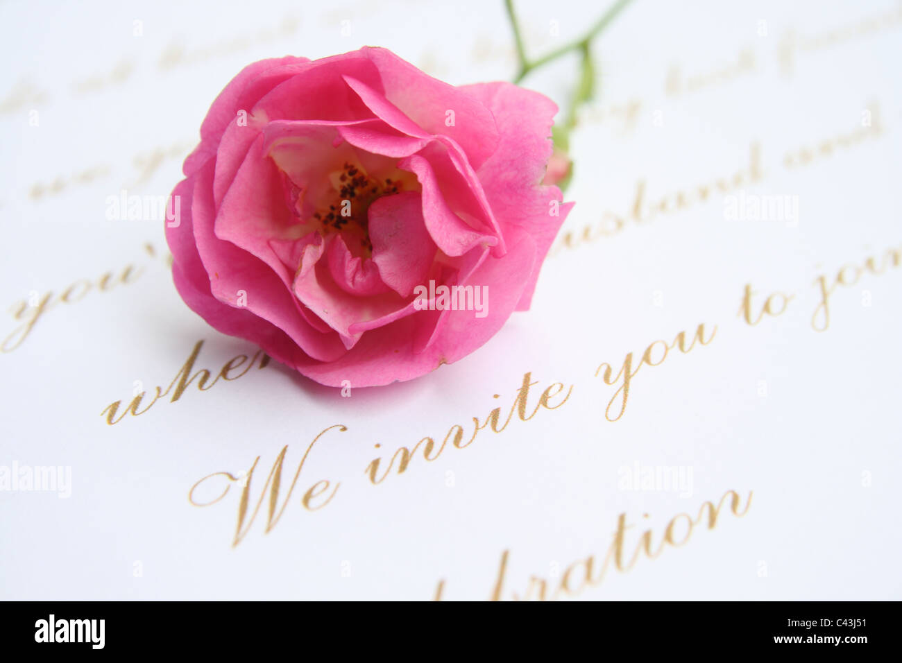 Red rose on love letter Stock Photo - Alamy