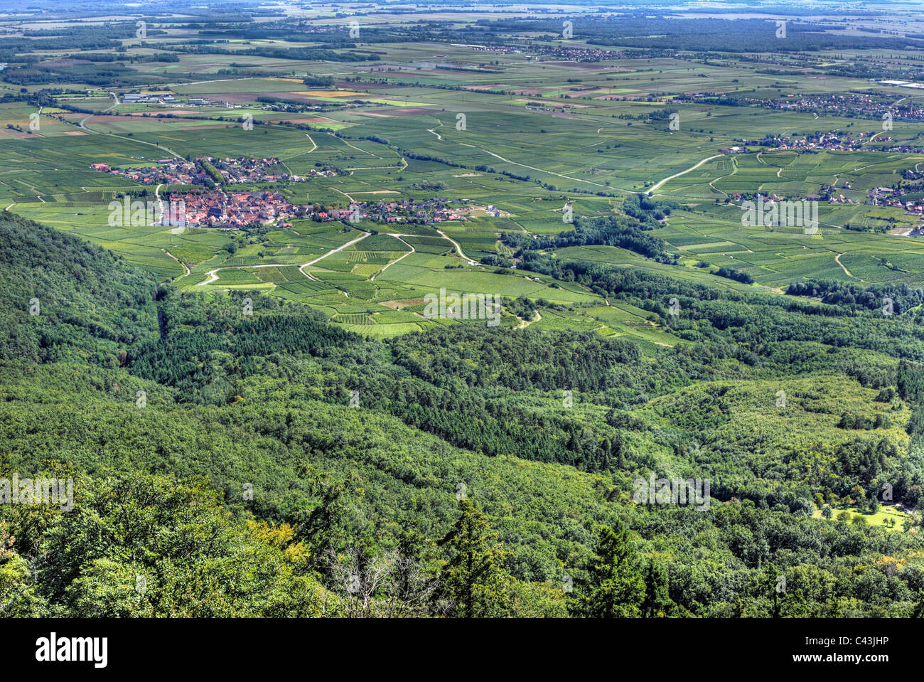 Alsatian plain hi-res stock photography and images - Alamy