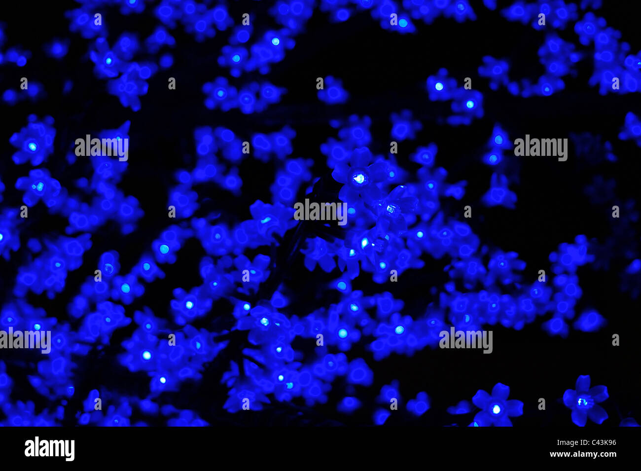 Background from dark blue colors of a garland of a tree, Moscow Region ...