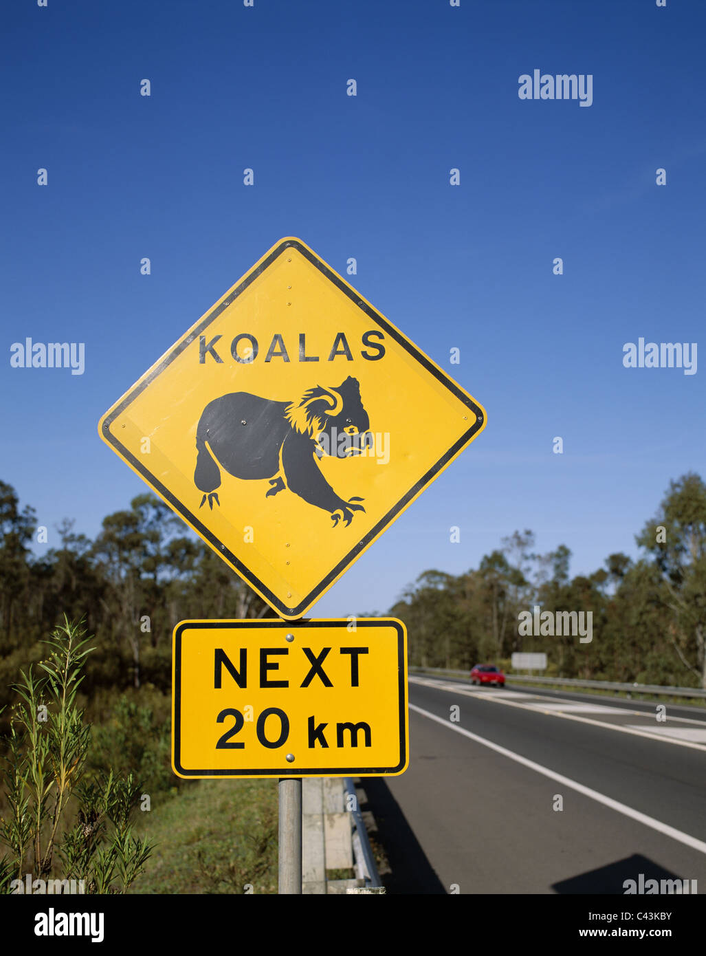 Australia, Holiday, Koala, Landmark, Queensland, Road, Sign, Tourism ...