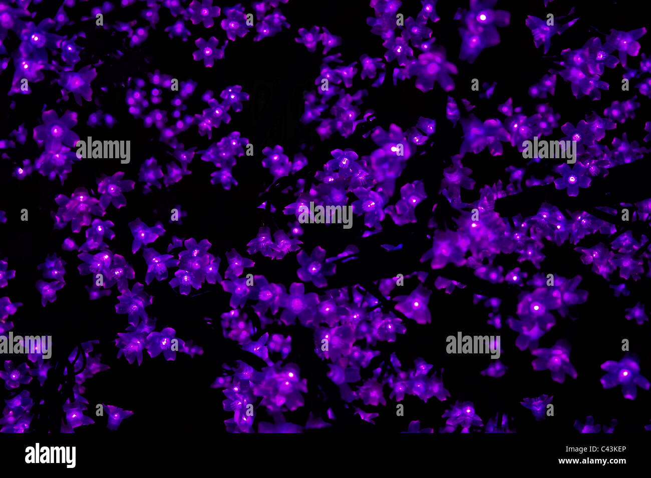 Background from violet colors of a garland of a tree, Moscow Region ...