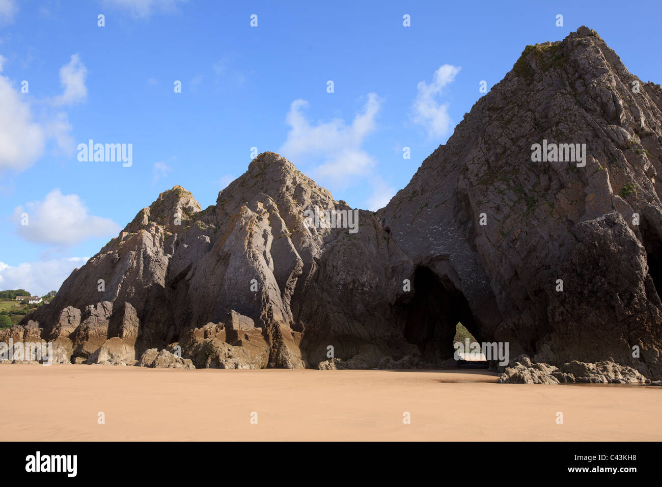 Gower fossils hi-res stock photography and images - Alamy