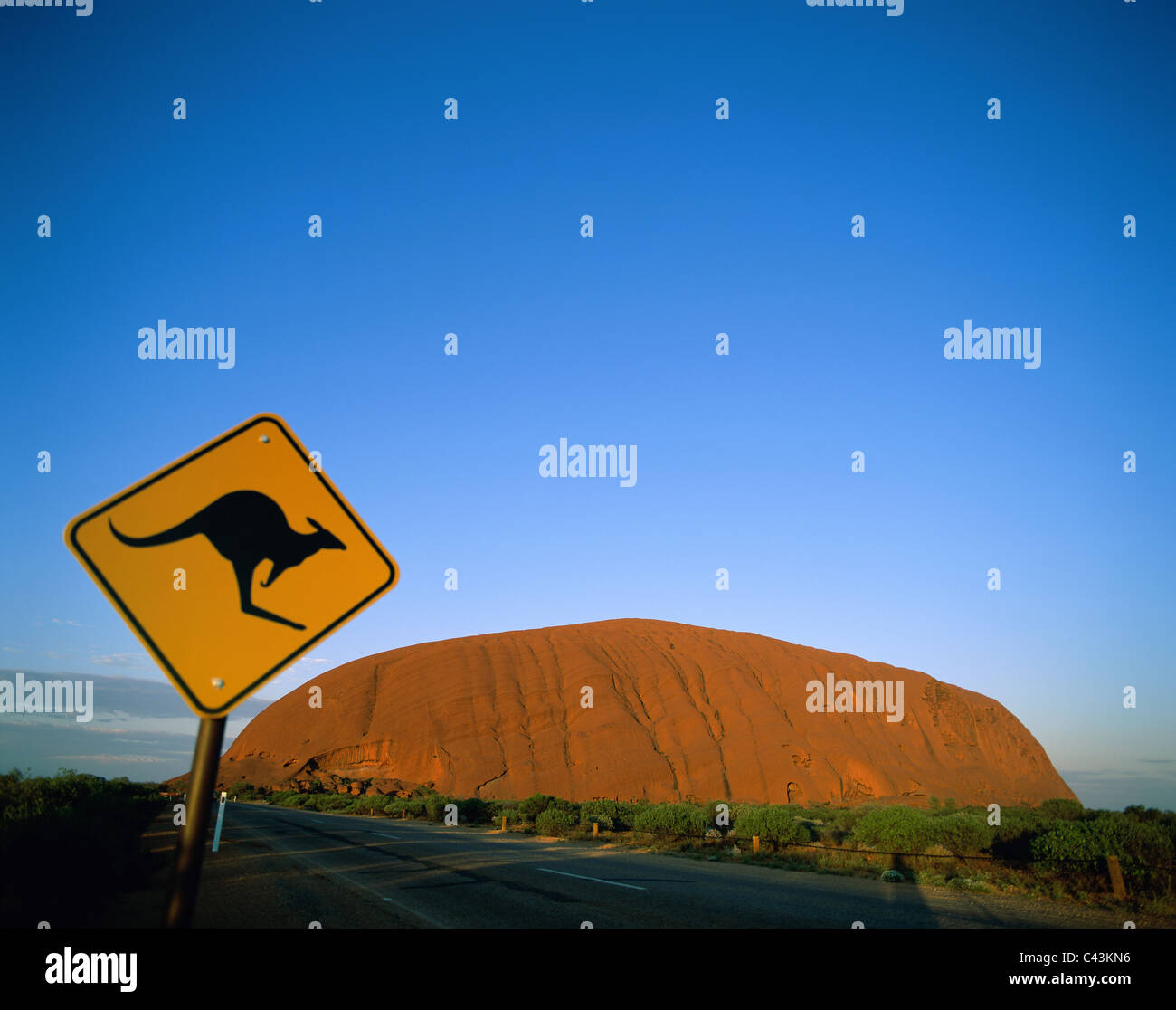 Australia, Ayers rock, Holiday, Kangaroo, Landmark, Northern territory ...