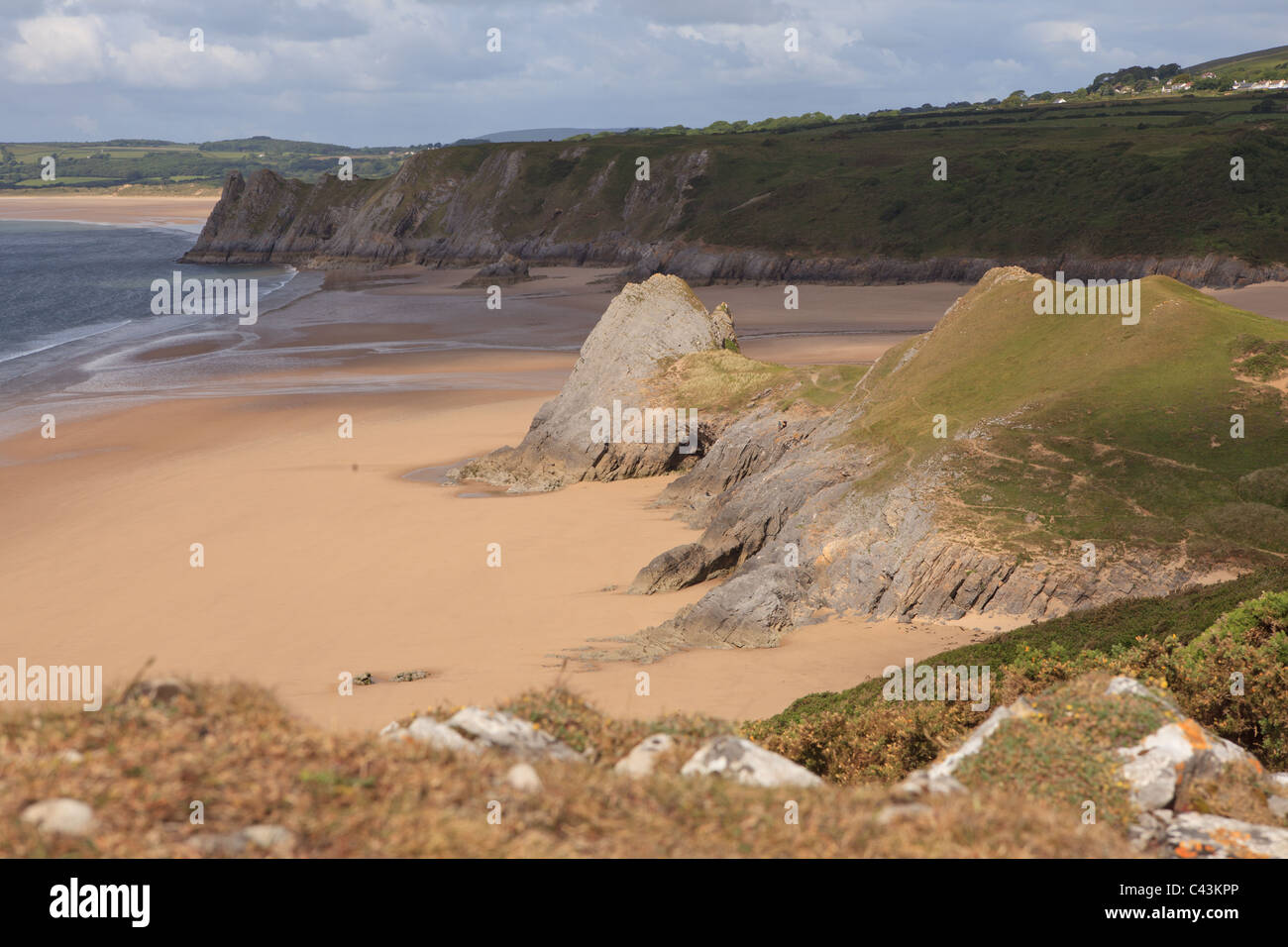 Gower Fossils High Resolution Stock Photography and Images - Alamy