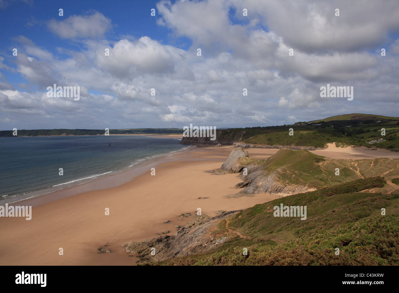 Gower Fossils High Resolution Stock Photography and Images - Alamy