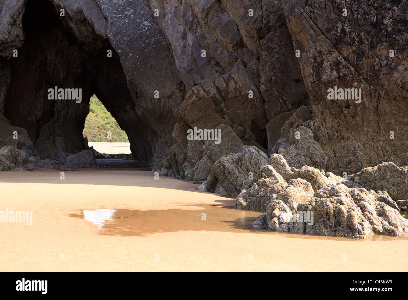 Gower fossils hi-res stock photography and images - Alamy