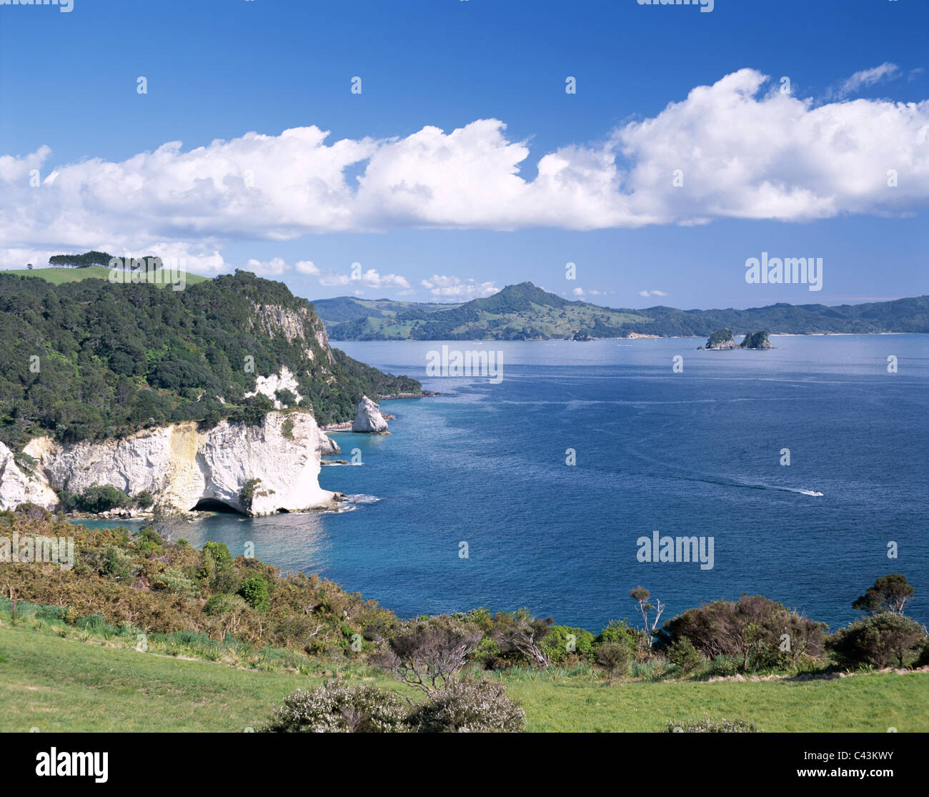 Cathedral, Coromandel, Coromandel peninsula, Cove, Holiday, Landmark ...