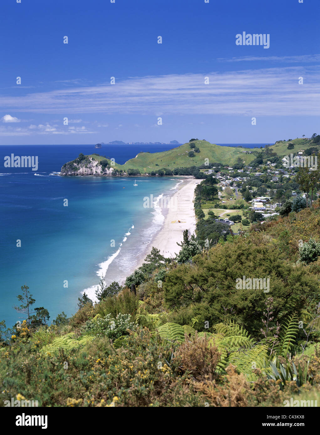 Beach, Coromandel, Coromandel peninsula, Hahei, Holiday, Landmark, New ...