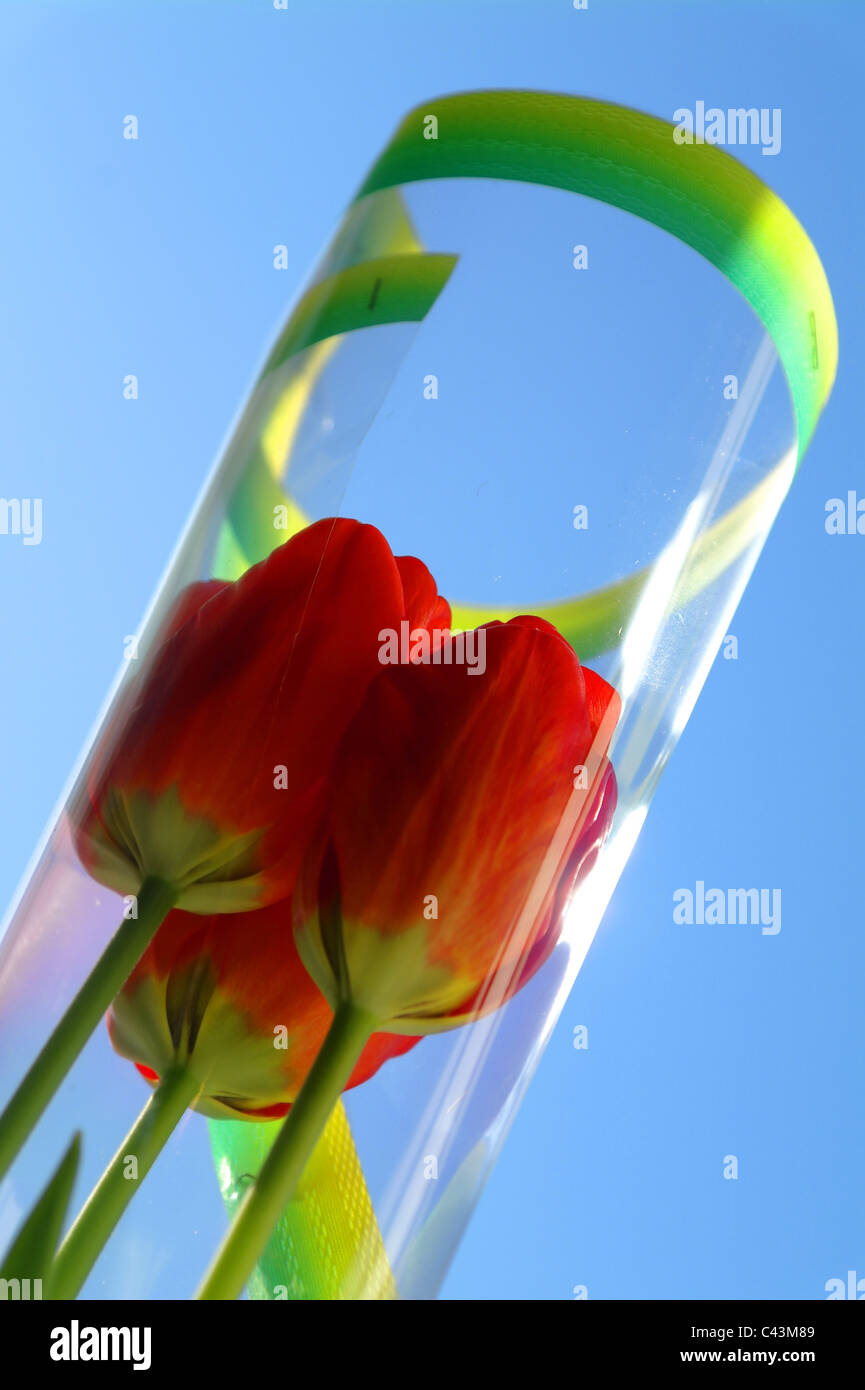 Red wrapper hi-res stock photography and images - Alamy