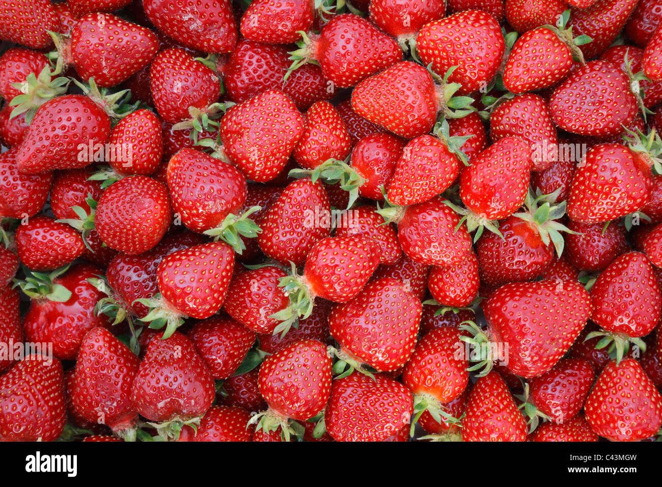 Several juicy ripe strawberries hi-res stock photography and images - Alamy