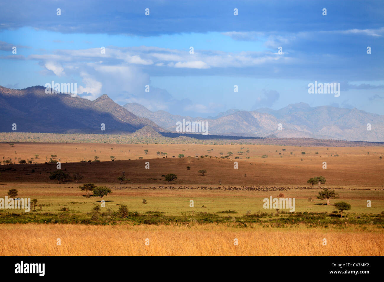 Sub Saharan Africa Landscape