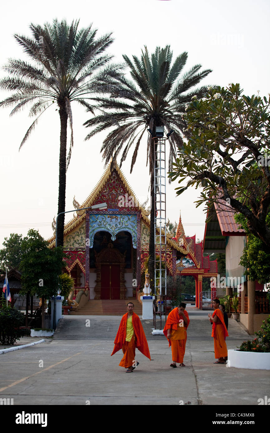 Monk with temple at palm tree, Lampang, Thialand Stock Photo - Alamy