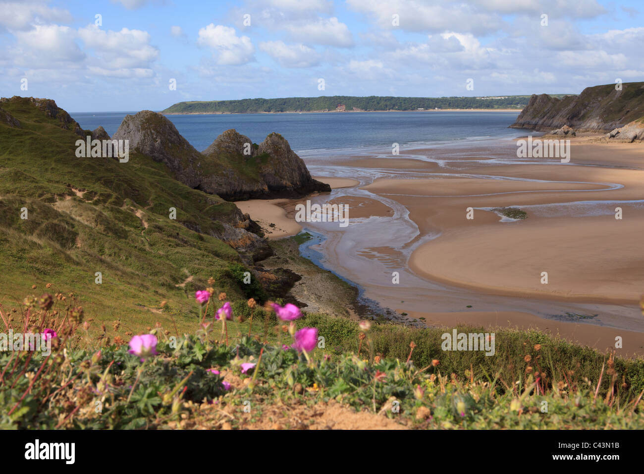Gower fossils hi-res stock photography and images - Alamy