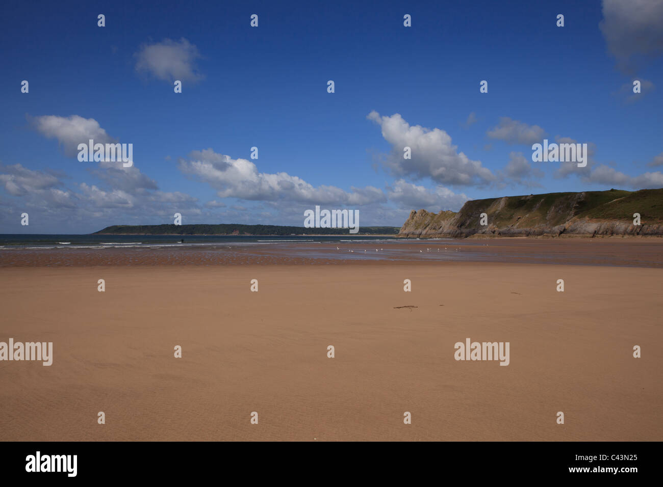 Gower Fossils High Resolution Stock Photography and Images - Alamy