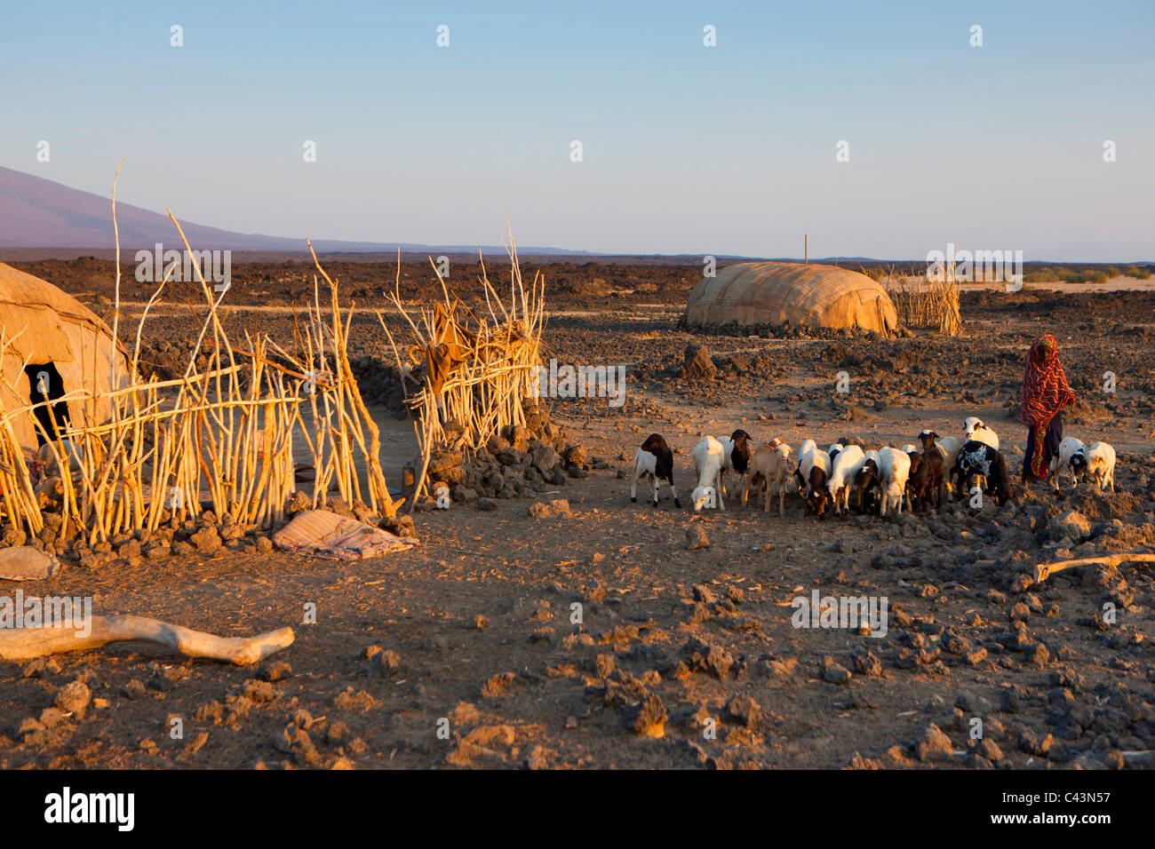 Afar region hi-res stock photography and images - Alamy