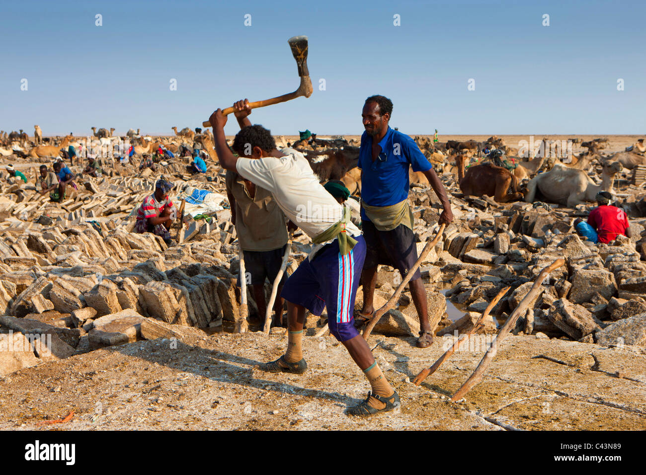 Ahmed Ela, Africa, Ethiopia, Afar region, Afgar, Danakil, desert Stock ...
